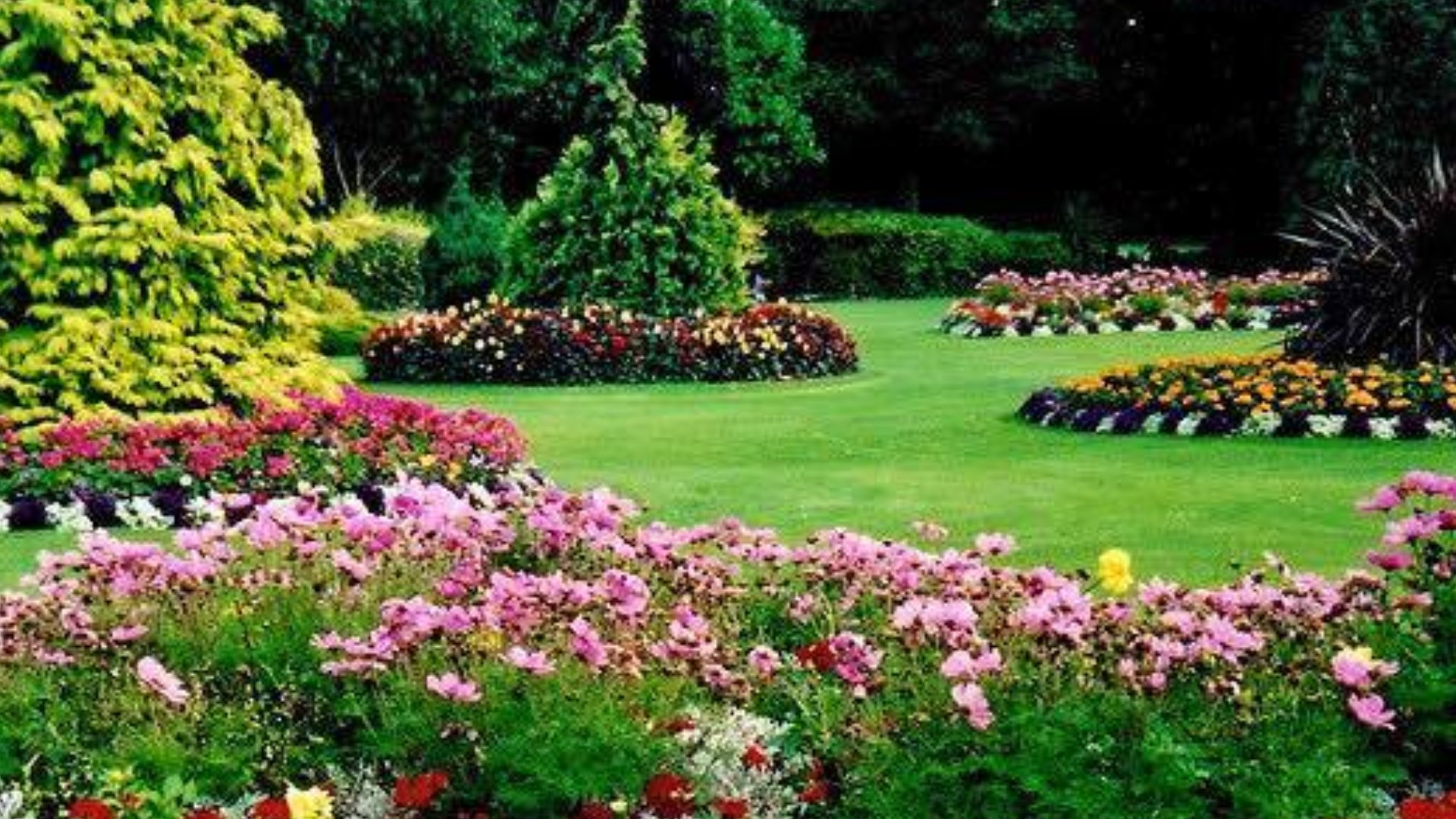 Lawn & Landscaping Services in Kenilworth, PA | Countywide Landscape