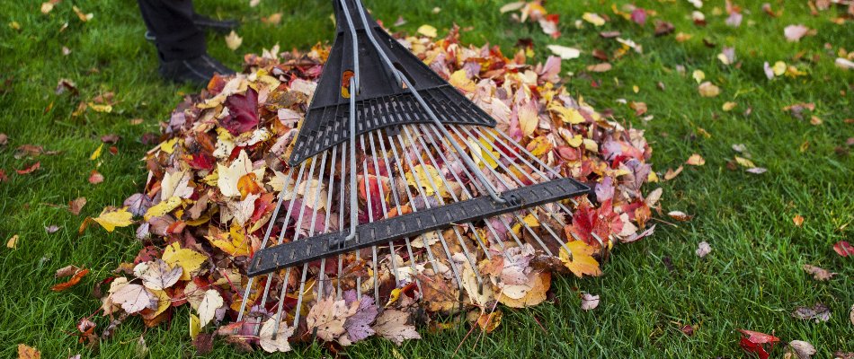 What’s the Best Way to Deal With the Leaves on My Lawn? | Countywide ...